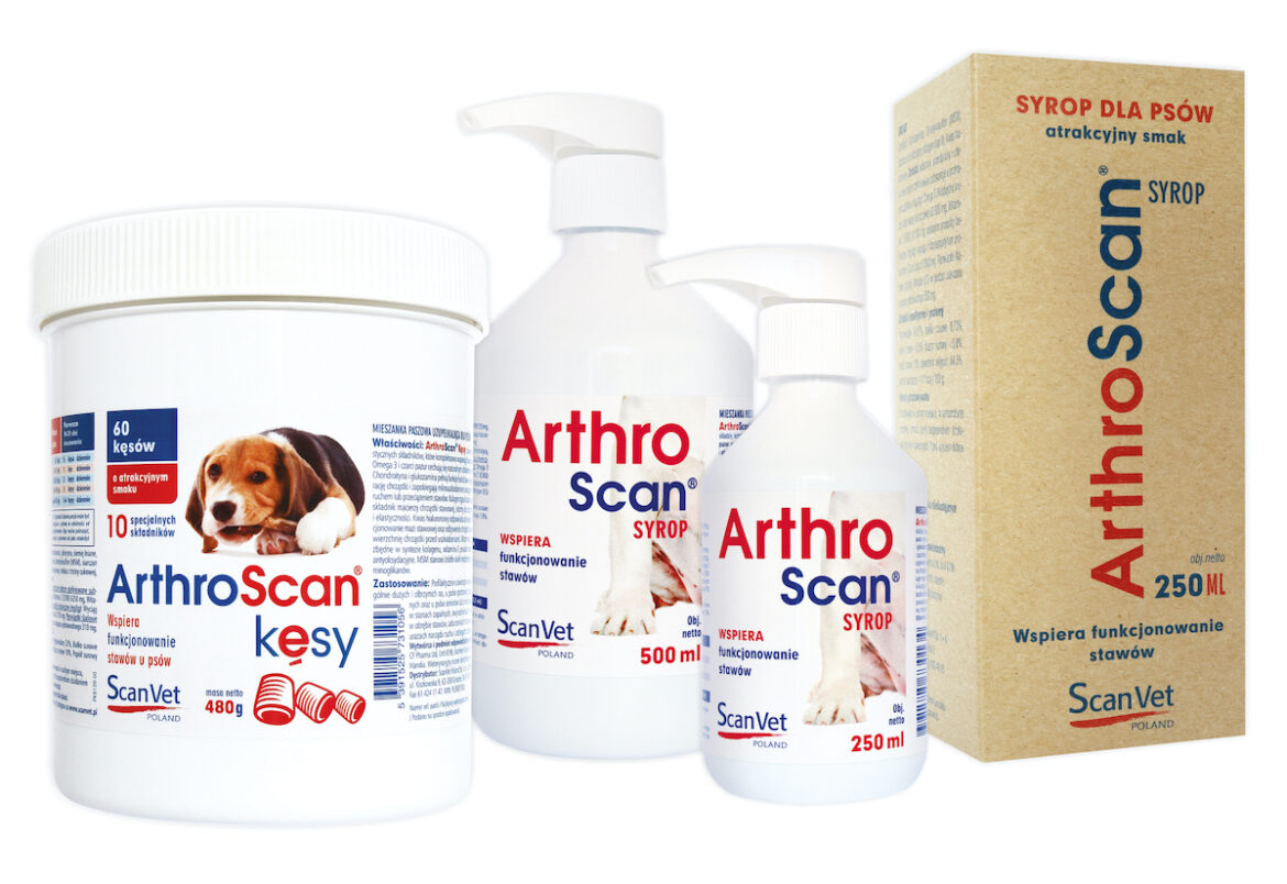 Jaki preparat na stawy dla psa wybrać? - Ranking 2025 i Opinie na ElfiaSfora.pl