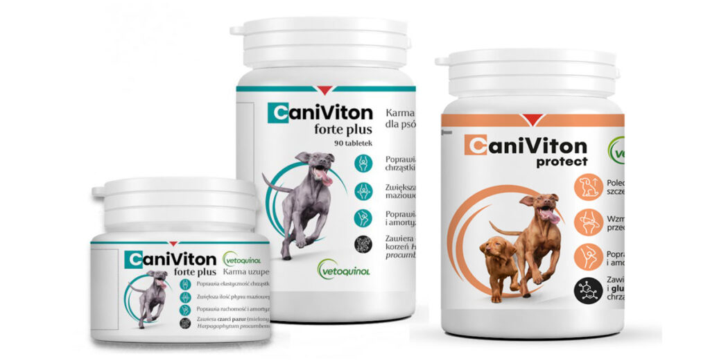 Jaki preparat na stawy dla psa wybrać? - Ranking 2025 i Opinie na ElfiaSfora.pl