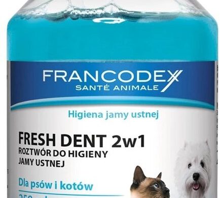 jaki Plecak dla psa wybrać? Ranking 2025 i Opinie na ElfiaSfora.pl